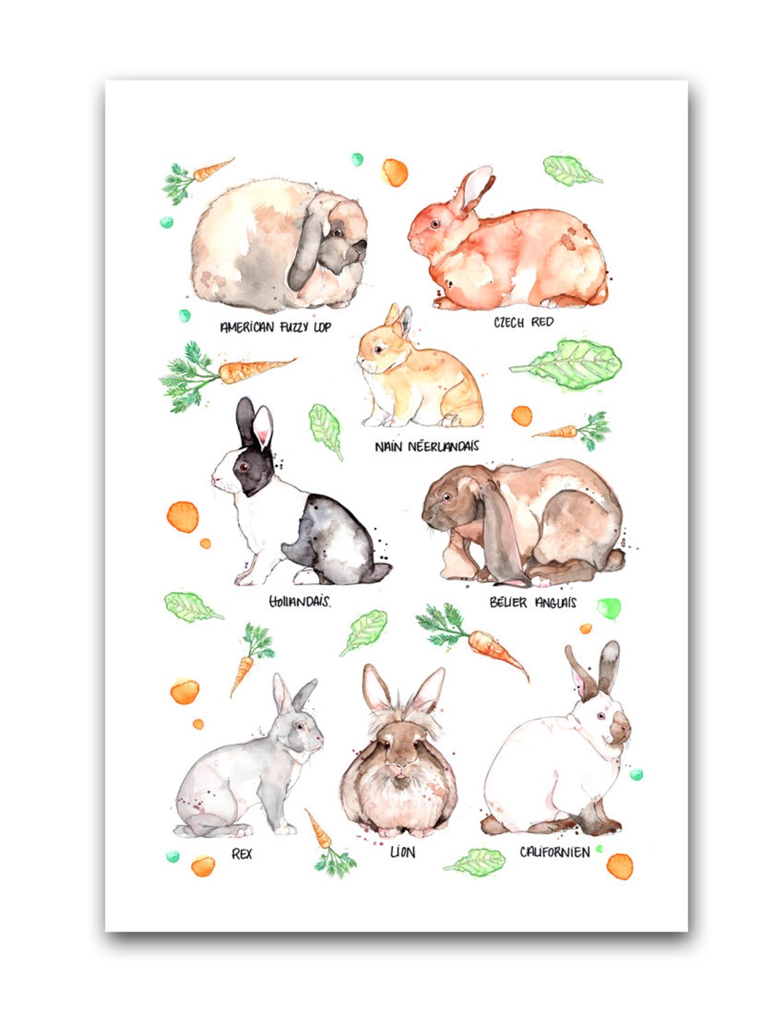 Big Poster 'the Rabbits' Illustration of Rabbits | Etsy
