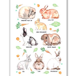 Large Poster 'the Rabbits' | Illustration of Rabbits | Watercolor ...
