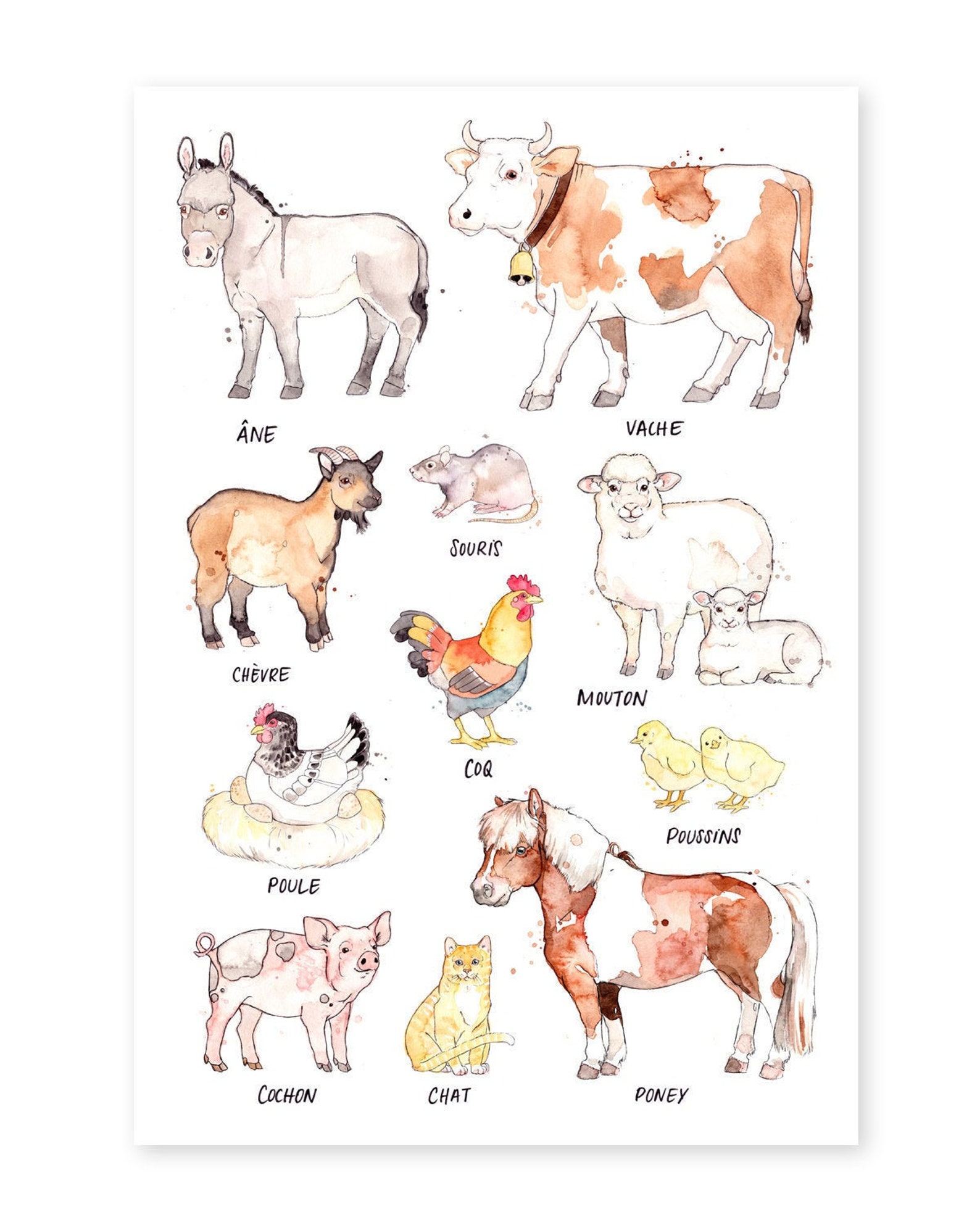Farm Animals Poster | Educational Illustration| Format 13 X 19 Inches ...