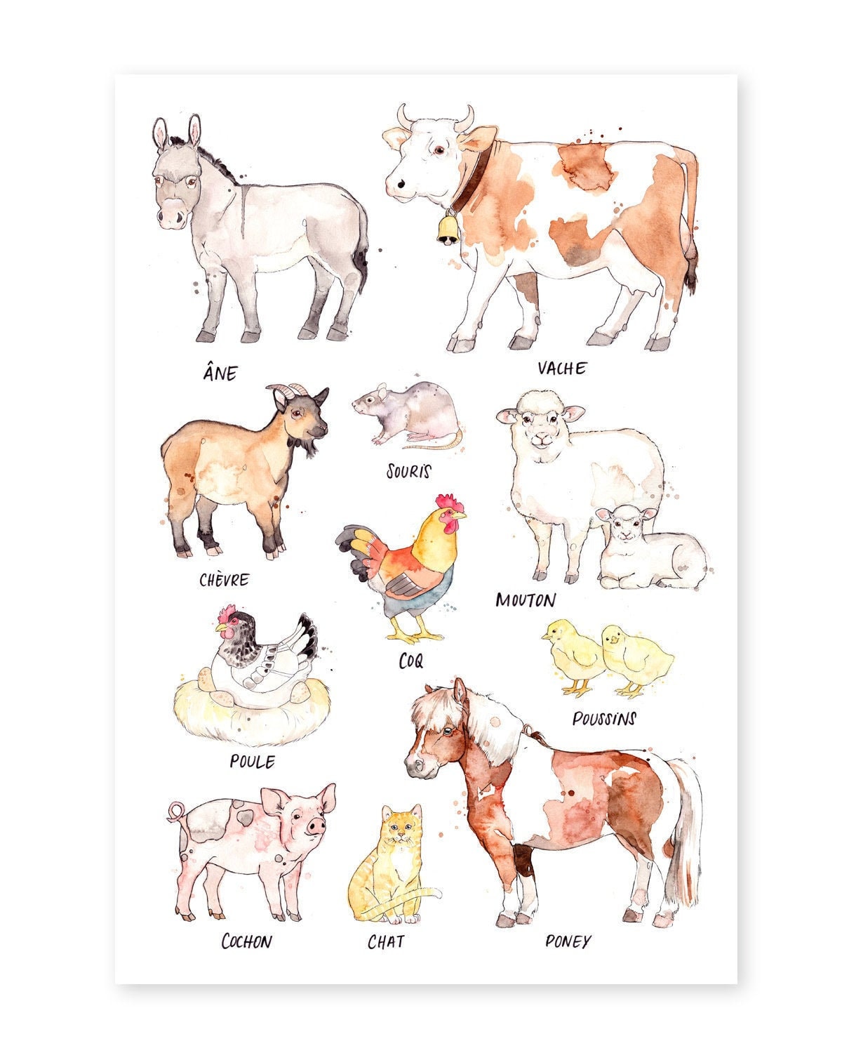 Farm Animals Poster | Educational Illustration| Format 13 X 19 Inches ...