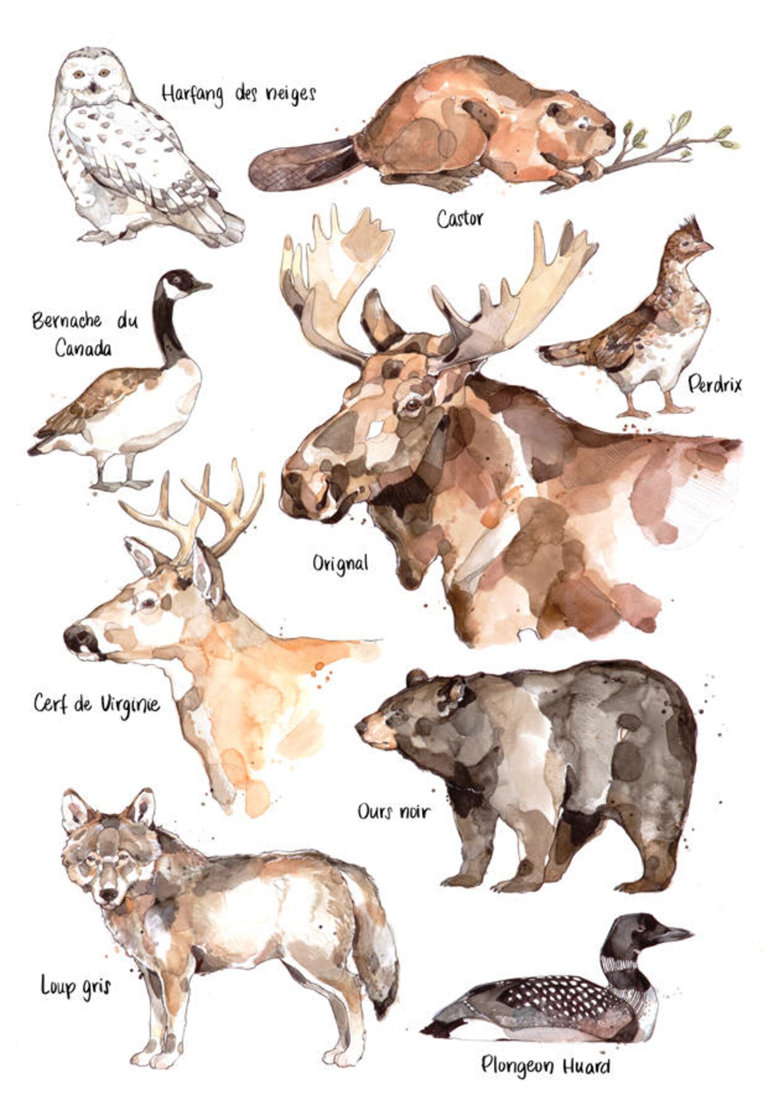 Animals Fauna Nature Illustration Watercolor Print | Etsy