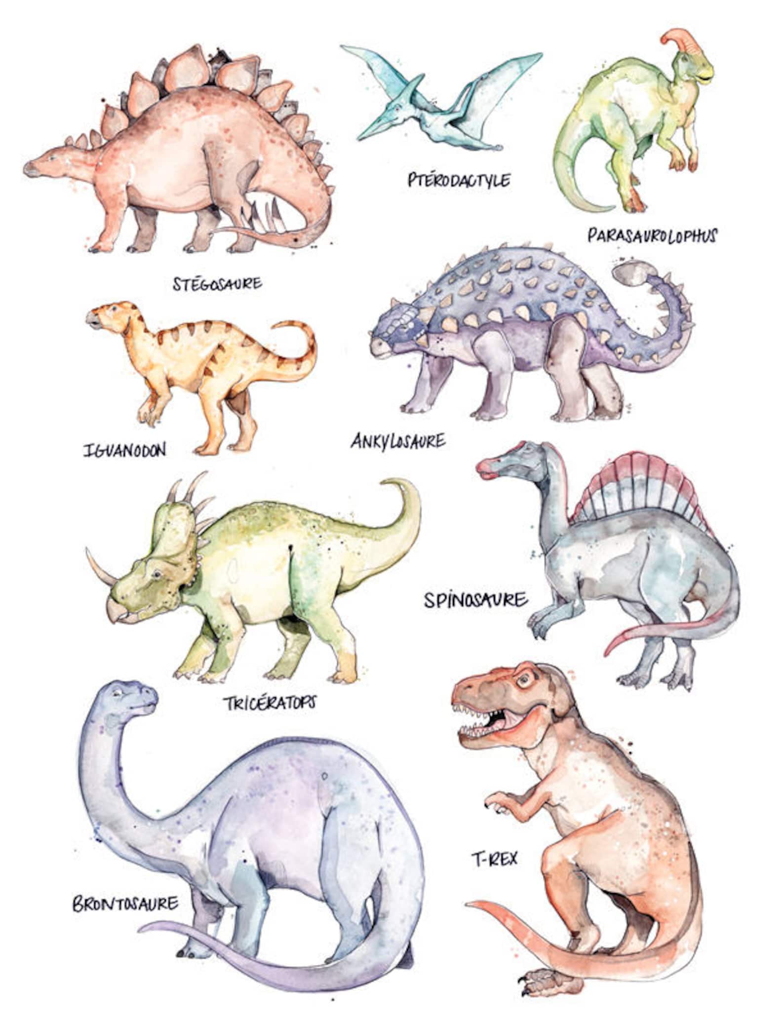 Les Dinosaures Grande Affiche 13 x 19 Espèces dinosaures - Etsy Canada