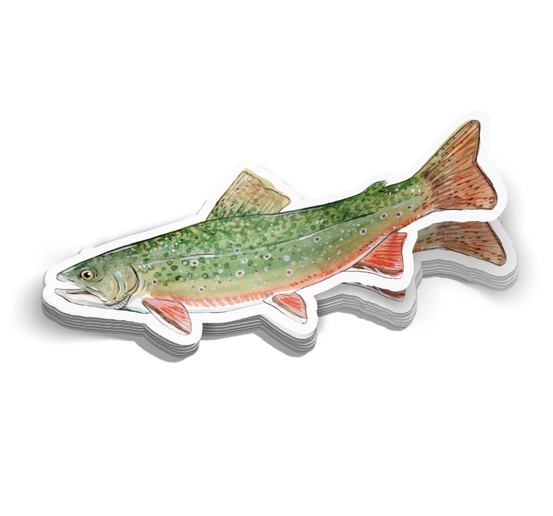 Speckled Trout Individual STICKER Sticker Fish Sticker Fisherman ...