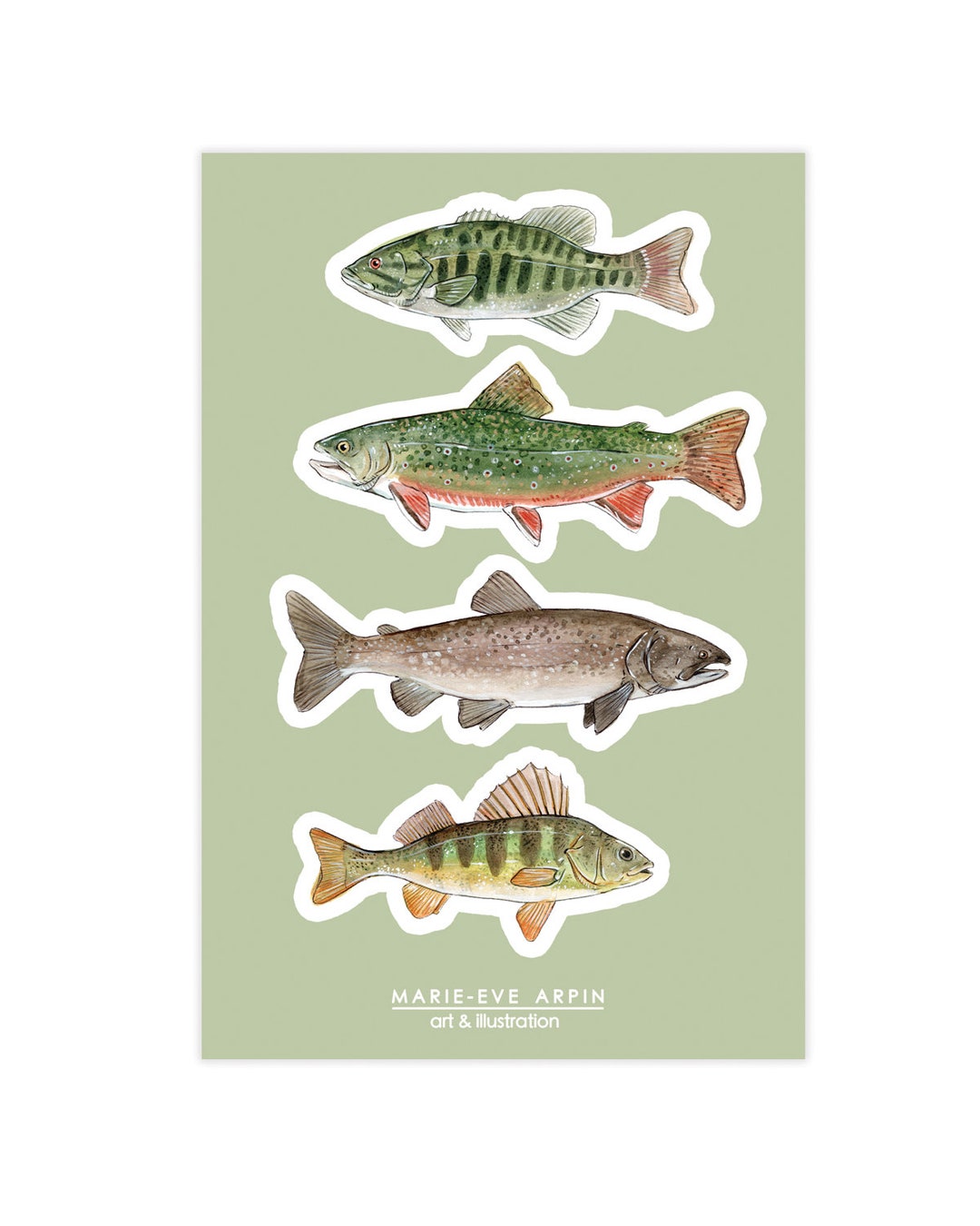 STICKER SHEETS - Freshwater Fish of Quebec | Sticker | Fishing Stickers ...