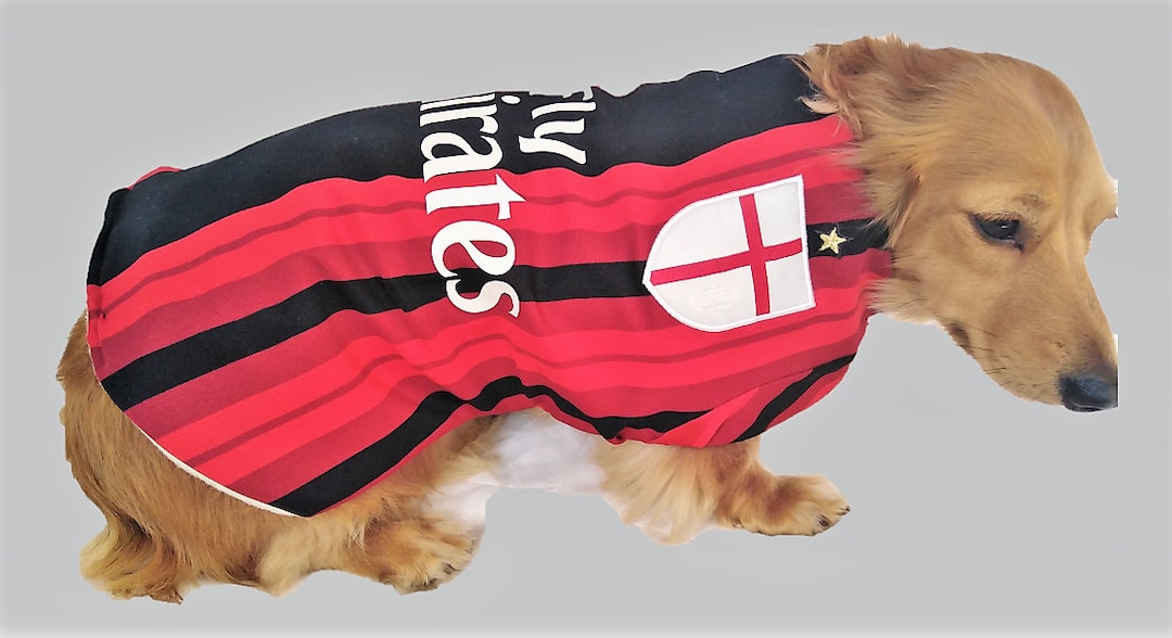 ANY Team DOG Football Shirt Upcycled From HUMAN Shirts Waterproof ...