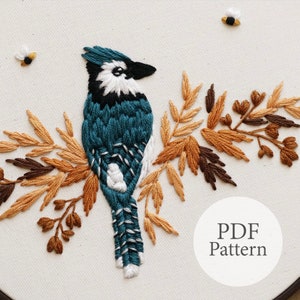 PDF Pattern - 8" Blue Jay - Step by Step Beginner Embroidery Pattern ...