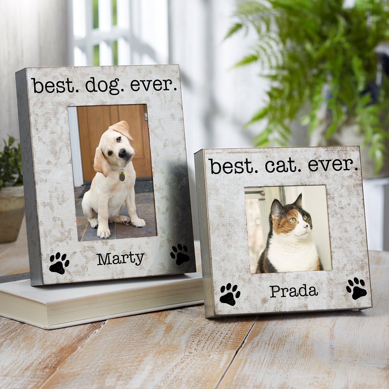 Best.dog.ever Picture Frame Dog Paws Dog Picture Frame - Etsy