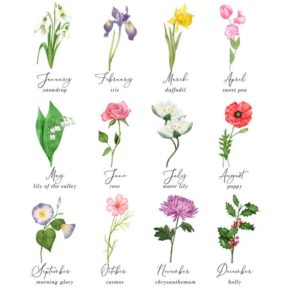 May Birthday Flower And Stone