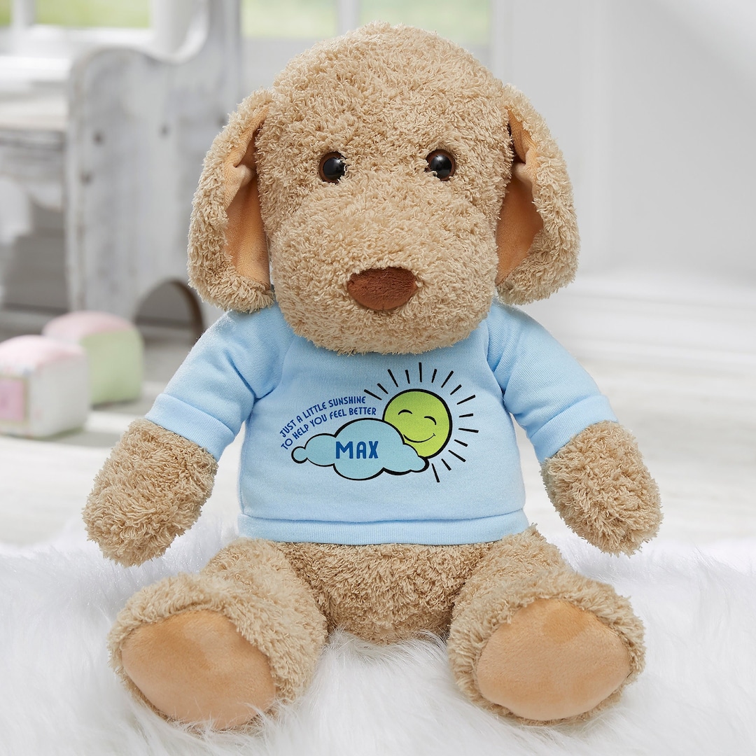 Get Well Personalized Plush Dog, Gifts for Baby, Plush Doll, Stuffed ...