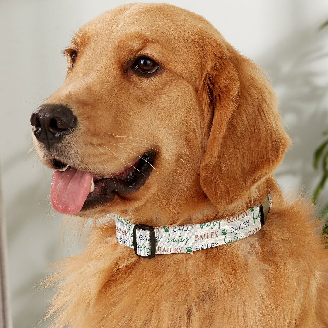 Pawfect Pet Personalized Dog Collar, Custom Dog Collar, Custom Pet ...