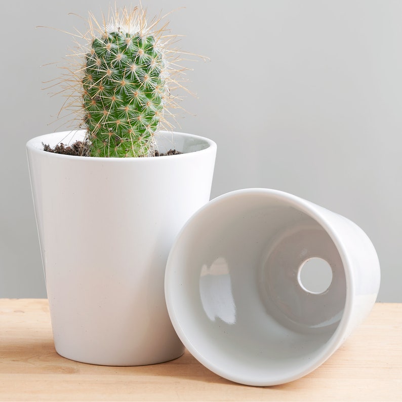 Floral Special Message Personalized Mini Flower Pot Gifts for - Etsy