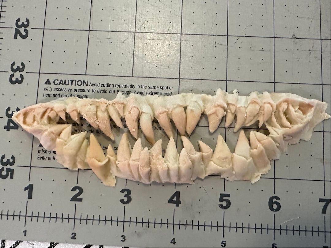 B-GRADE Full Mouth Mileena Baraka Cosplay Prosthetic Mk11 Mortal Kombat ...