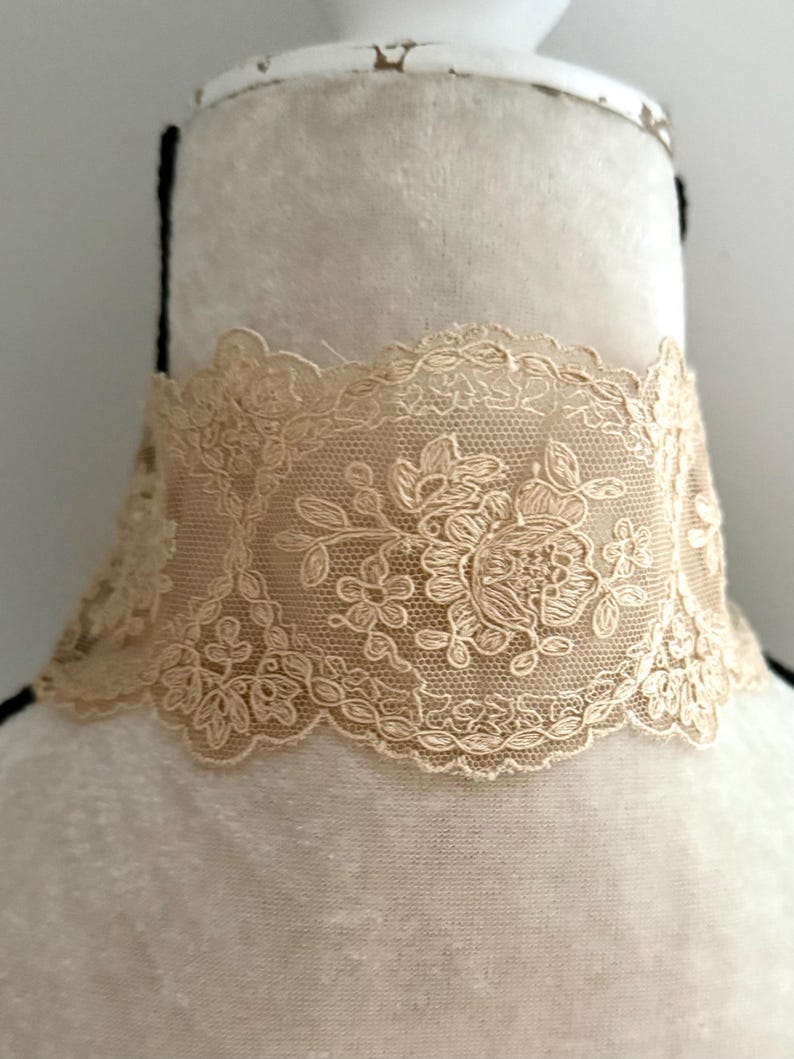 Antique Victorian Embroidered and Alencon Lace Trousseau Fichu Cover - Etsy