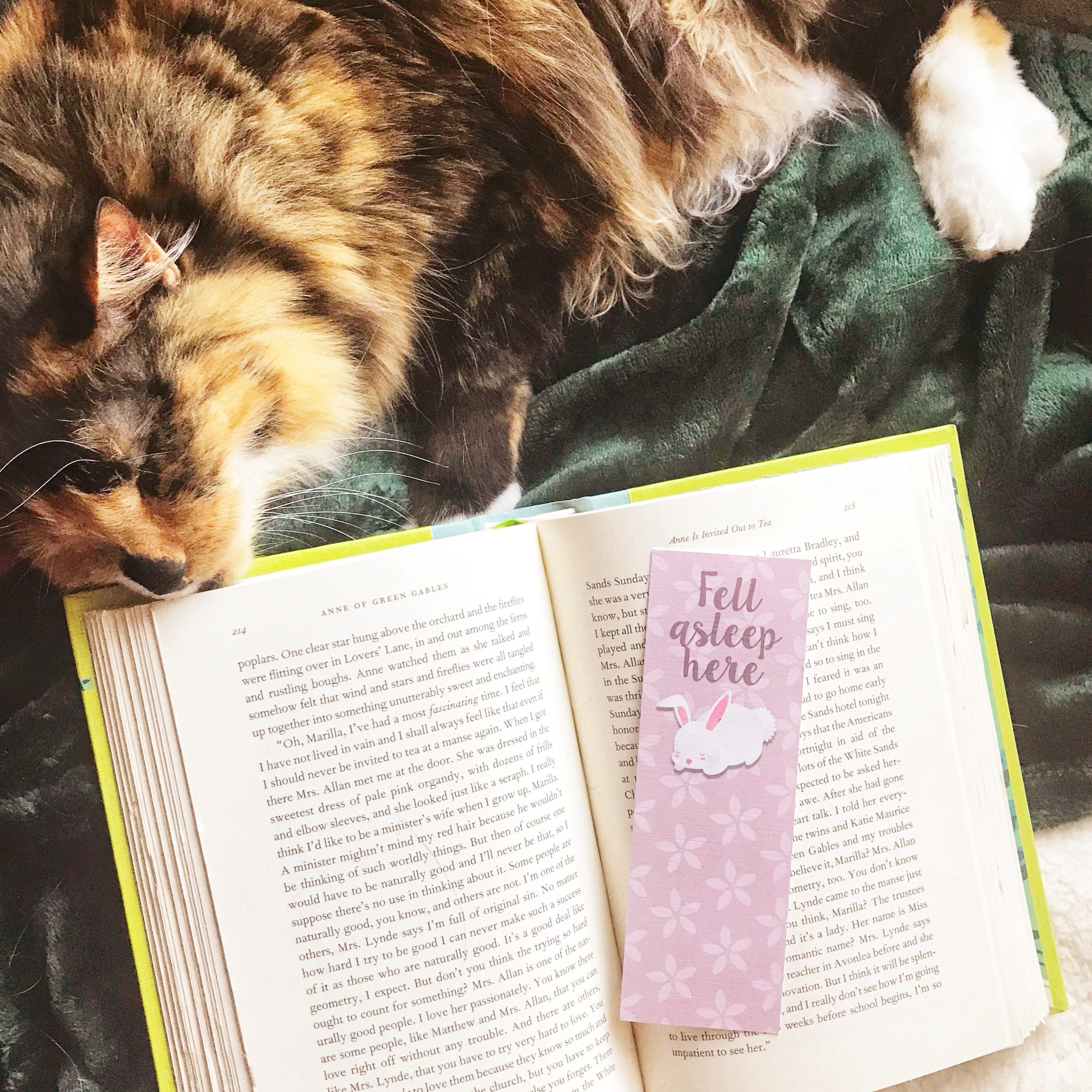 Feel Asleep Here Bunny Bookmark Pink Mauve Bookish Bookmark | Etsy