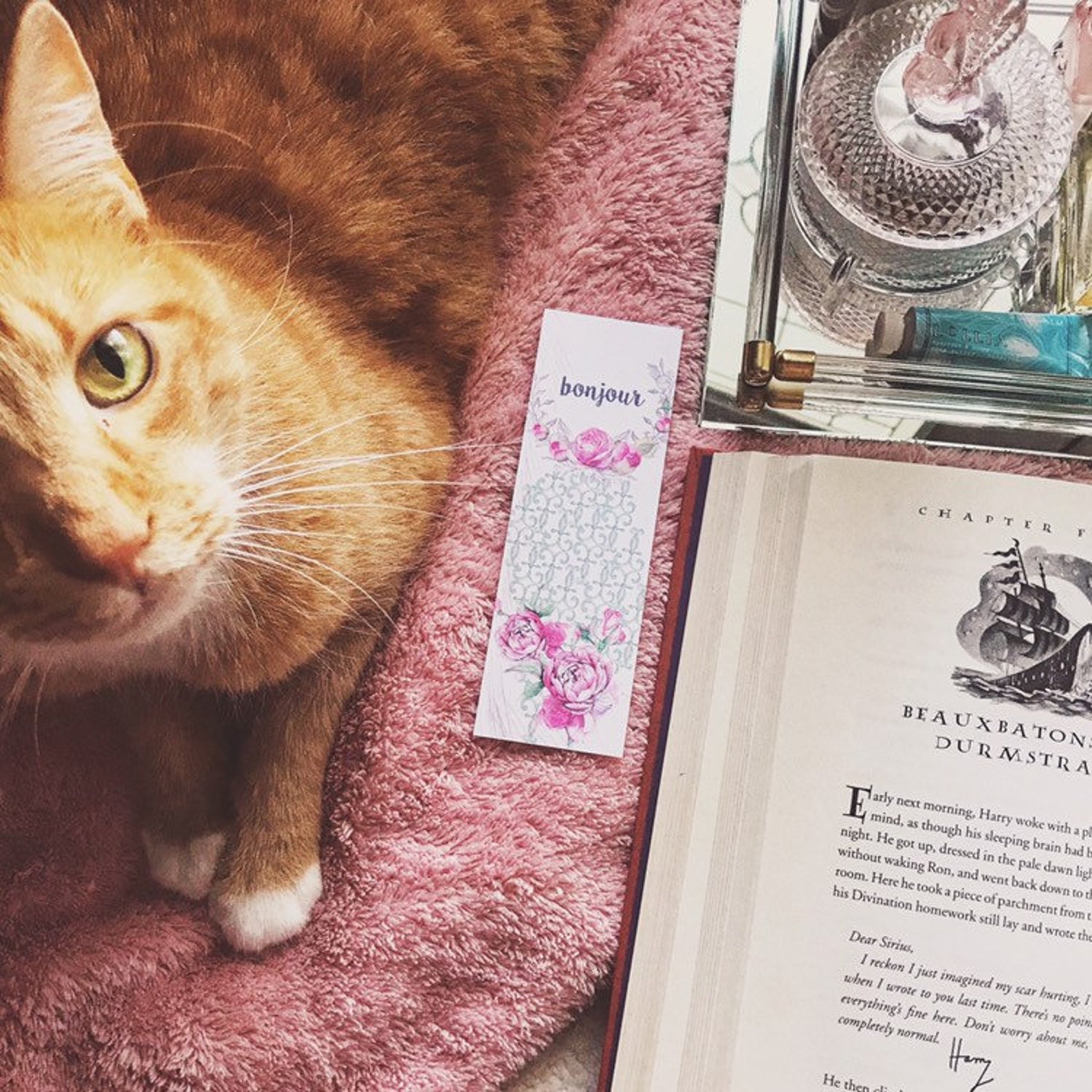 French Printable Bookmarks French Baby Shower Favors Bonjour - Etsy