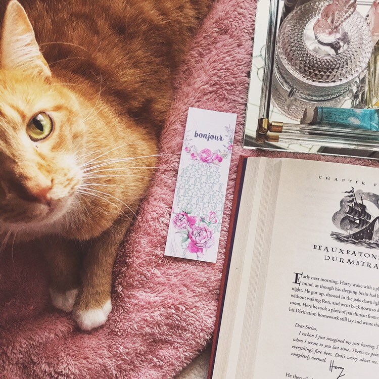 French Printable Bookmarks French Baby Shower Favors Bonjour - Etsy