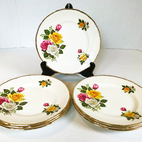 White Cabbage Rose - Etsy