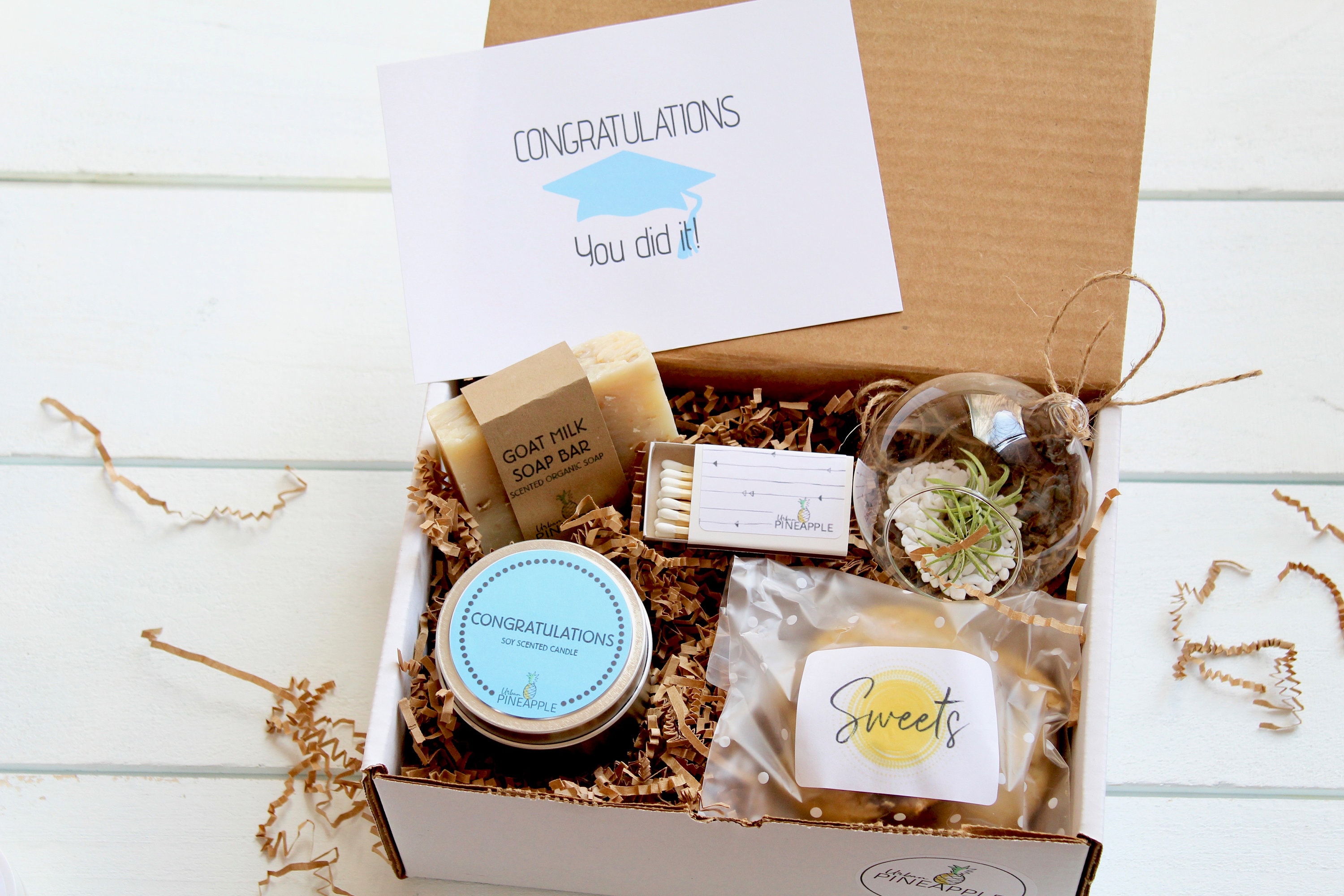 Graduation Gift 2021 Graduation Send a Gift Plant Gift | Etsy