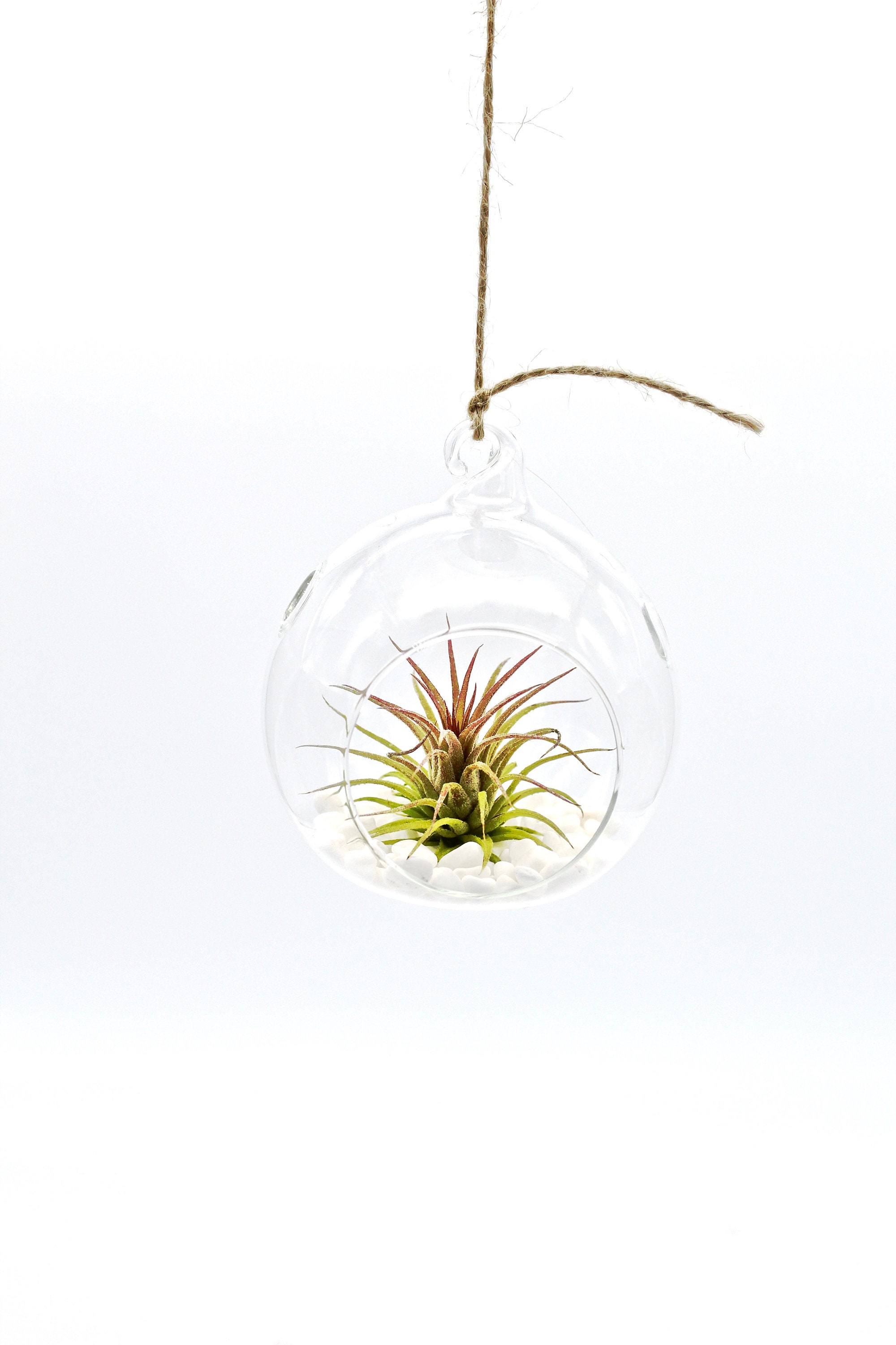 Welcome to the Team Gift Box Gift Team Member Gift Box - Etsy