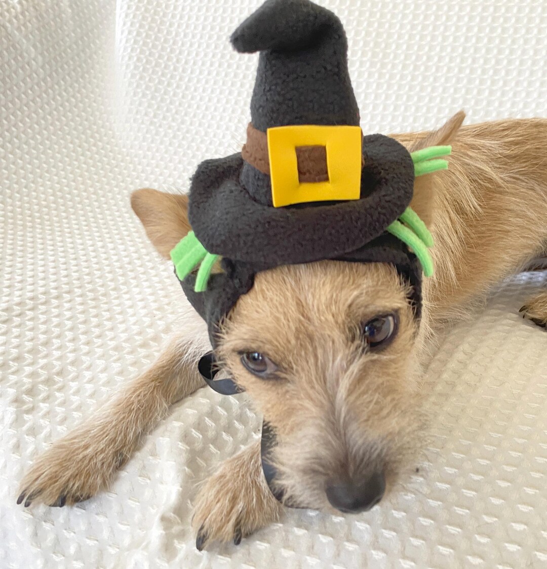 Pet Hats Witch - Etsy
