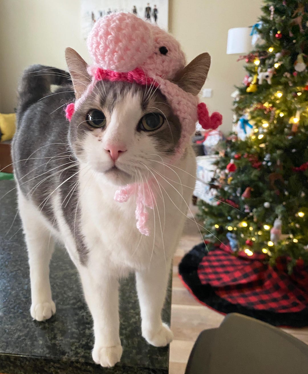 Pet Crochet Hats Blob Fish - Etsy