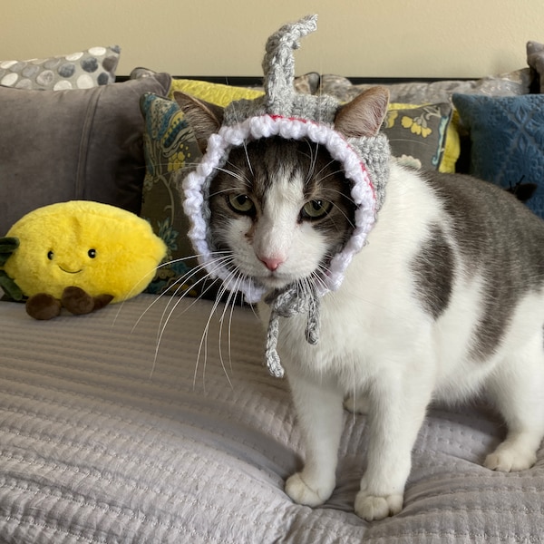 Cat Shark Hat - Etsy