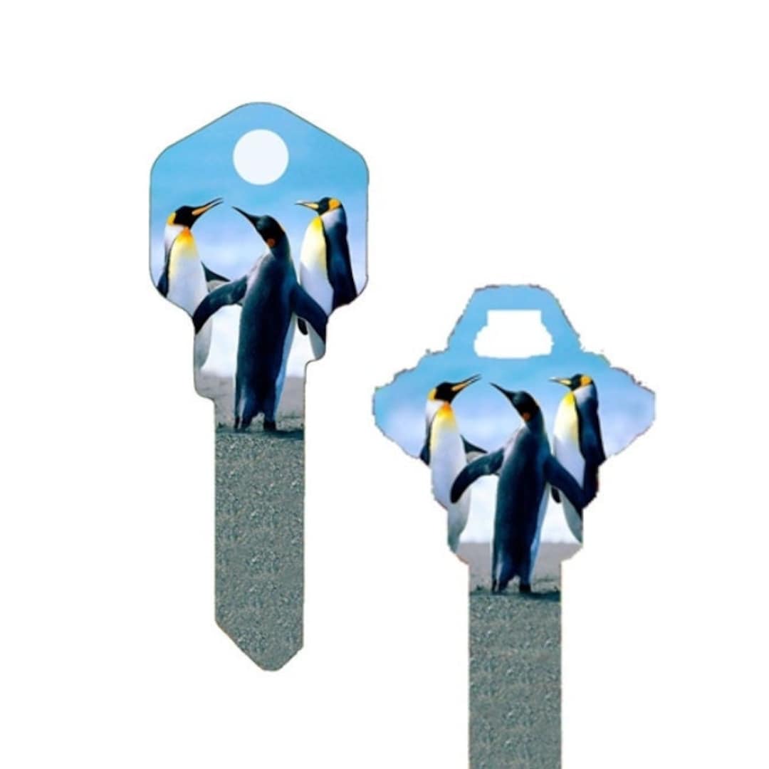 Penguins Painted House Key Blank Home or Office House Uncut by Pretty ...