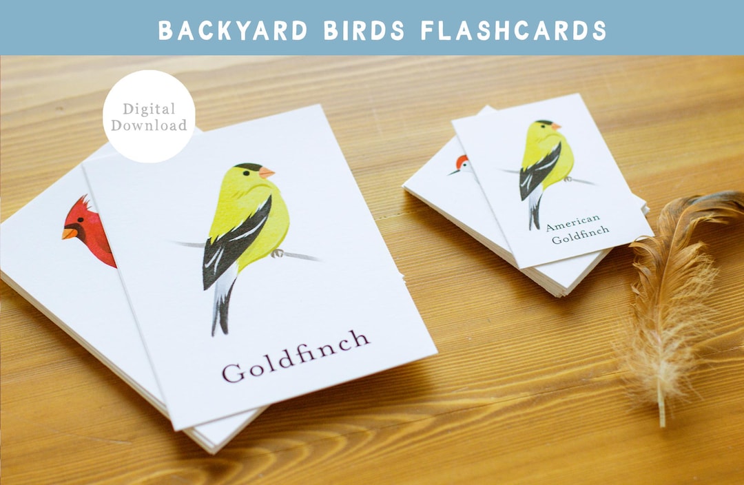 Backyard Birds Flash Cards & Poster | Common Birds in Southeastern US ...