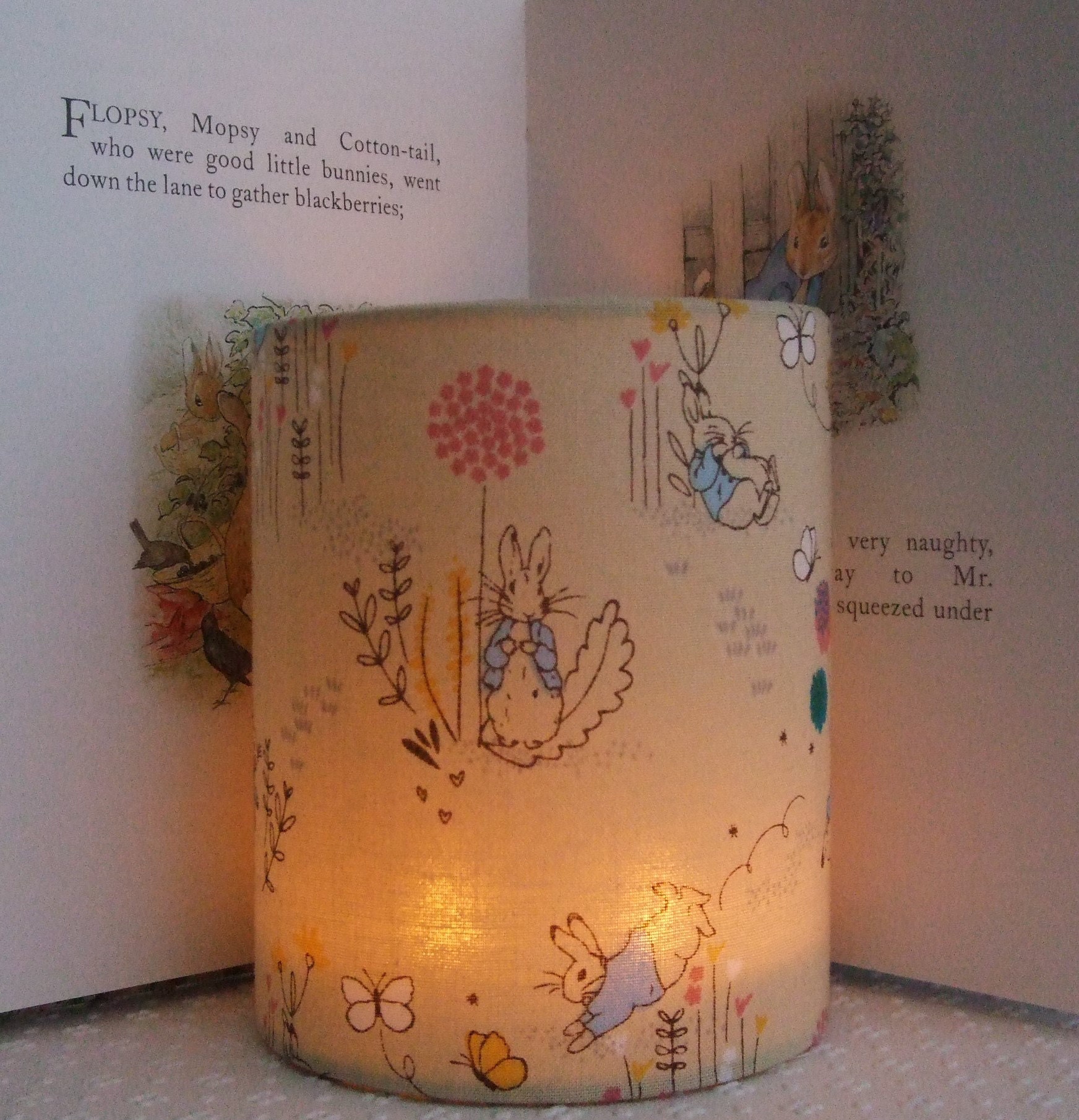 Beatrix Potter Peter Rabbit - Handmade Nursery Night Light. - Etsy UK