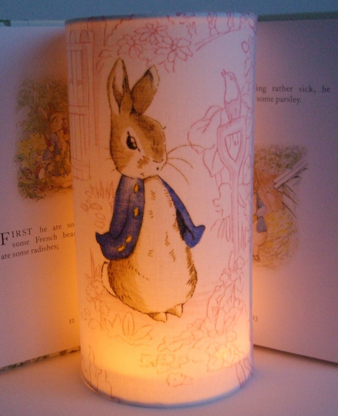 Beatrix Potter- Peter Rabbit Nursery Night Light - Etsy