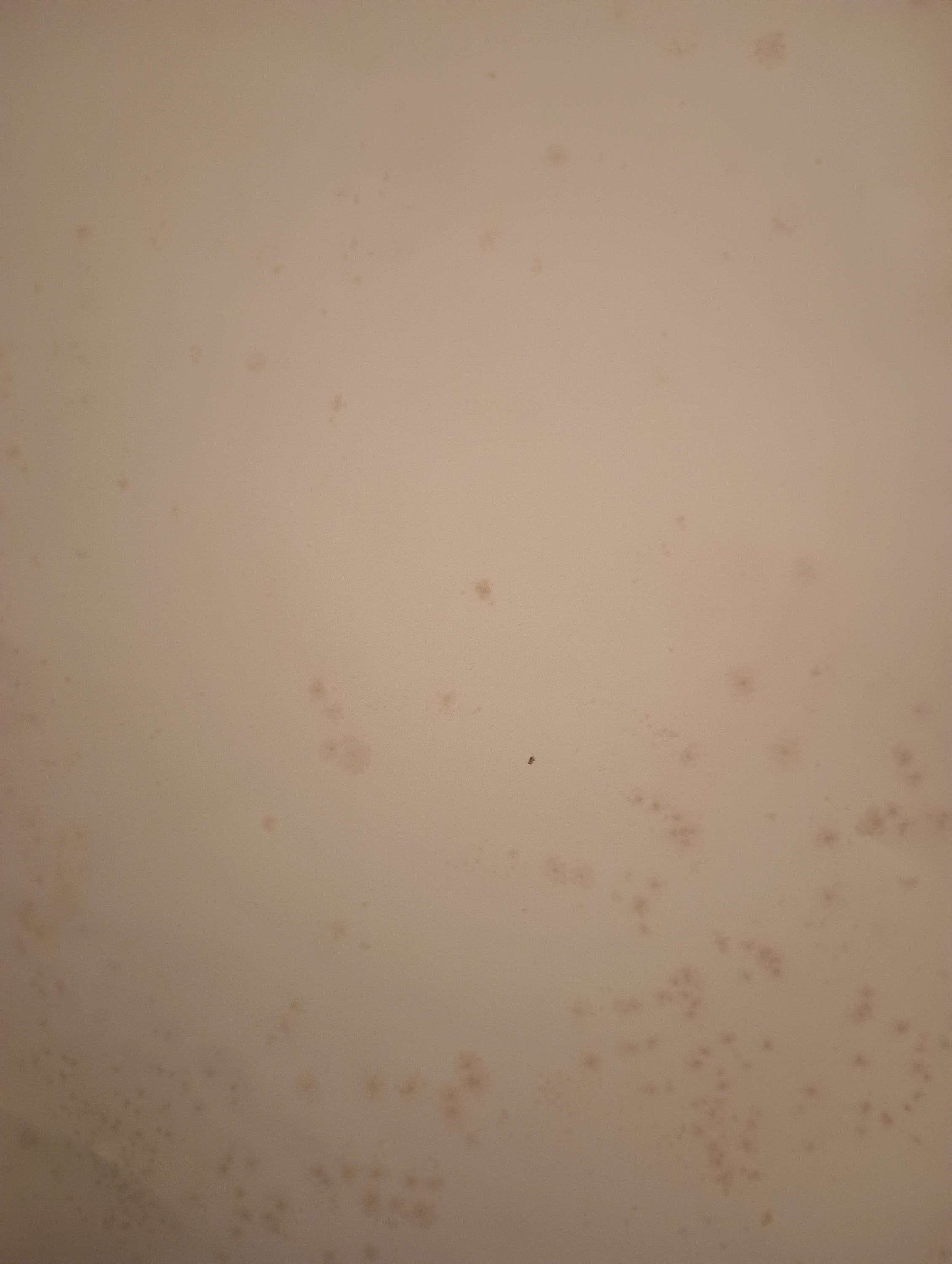 Michelangelo Models, Exhibition Catalogue, Cascade Gallery, Seattle ...