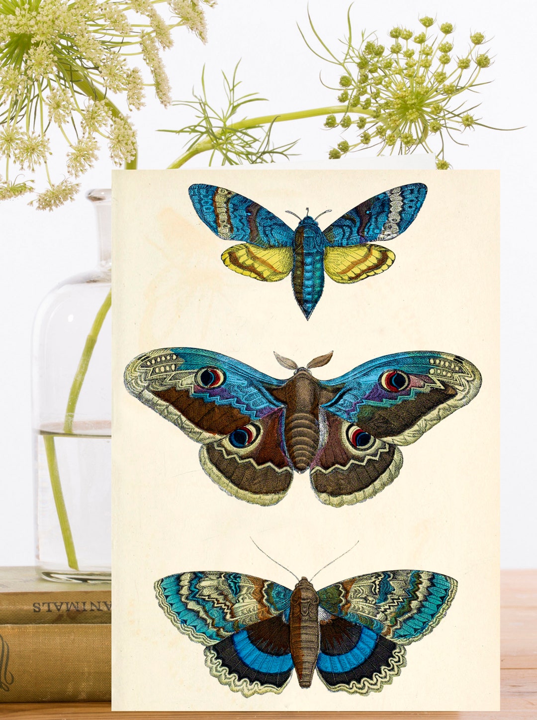 Whimsical Vintage Collage Art Card~sustainably Sourced Material ...