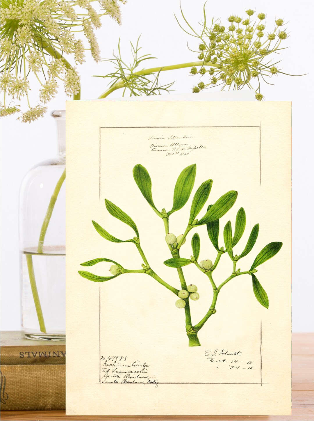 Whimsical Vintage Collage Art Card ~ Sustainably Sourced Material ...