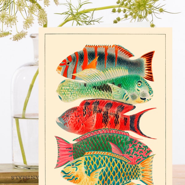 Whimsical Fish Art - Etsy