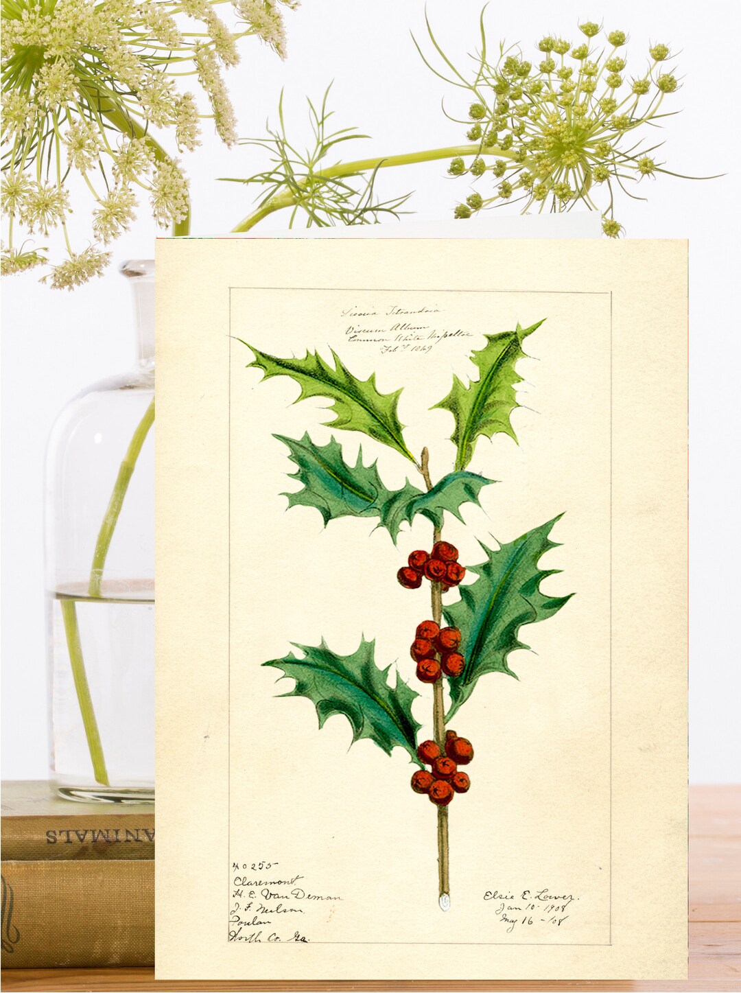 Whimsical Vintage Collage Art Card ~ Sustainably Sourced Material ...