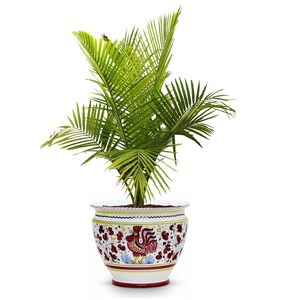 ORVIETO RED ROOSTER: Luxury Cachepot Planter Large - Etsy
