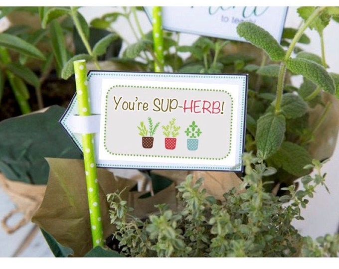 Herb Appreciation Tags | Appreciation Tags | Plant Gift | Teacher Gift ...