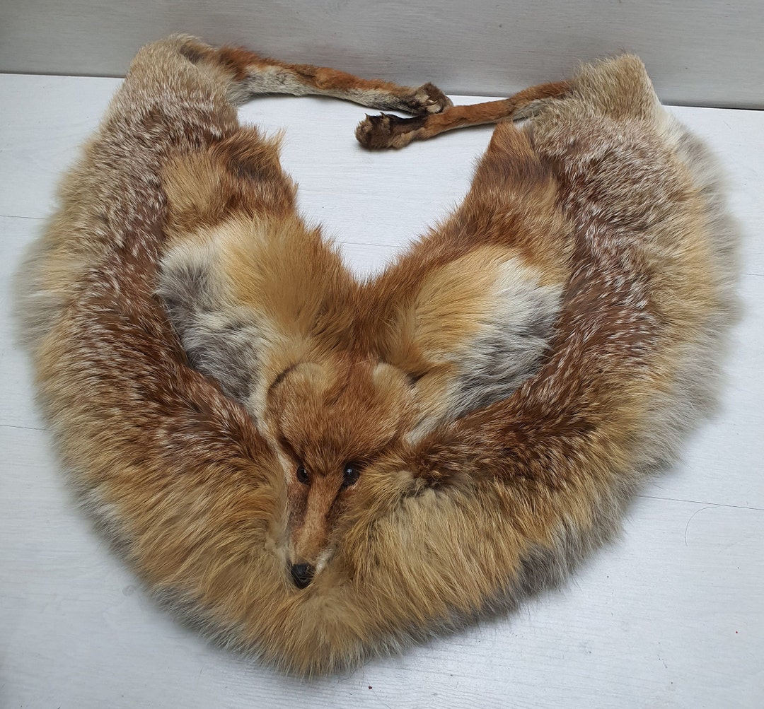 Vintage Fox Fur Scarf Drape Stole Wrap Collar Shawl Neck Warmer Tippet ...
