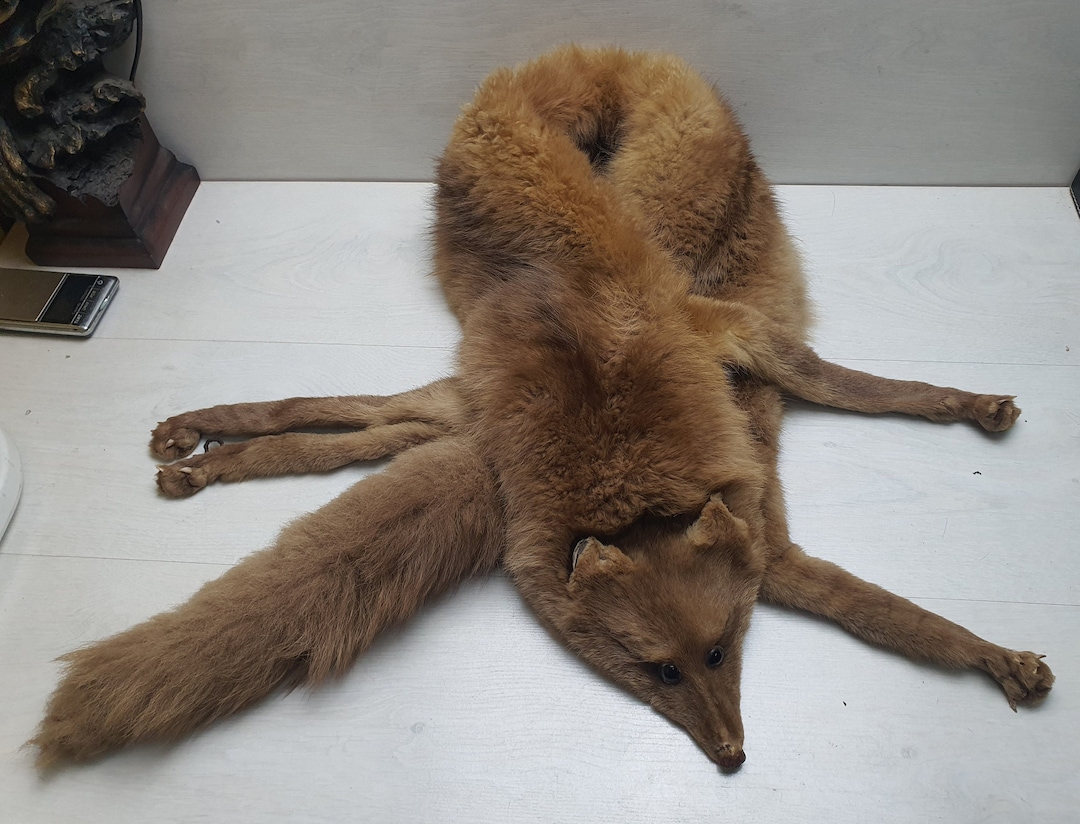 Vintage Collectible Full Size Red Fox Fur Scarf Head Tail Real Original ...