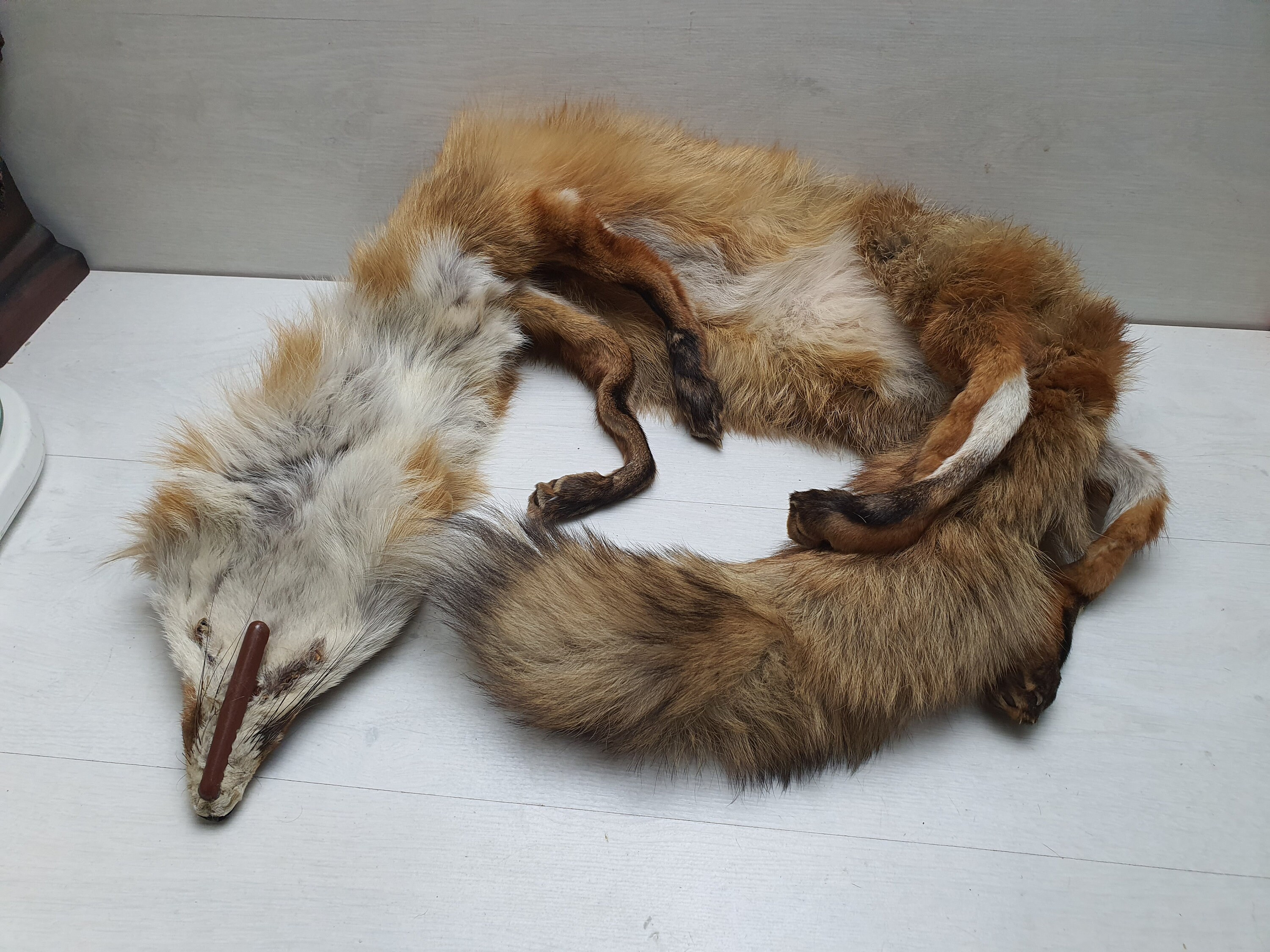 Vintage Collectible Full Size Red Fox Fur Scarf Head Tail Real Original ...