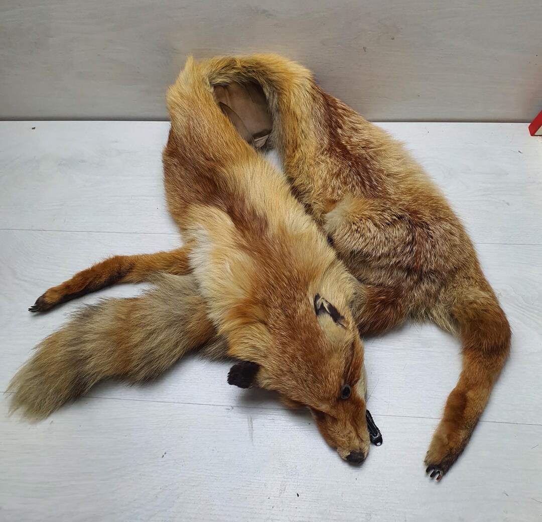 Vintage Collectible Full Size Red Fox Fur Scarf Head Tail Real Original ...