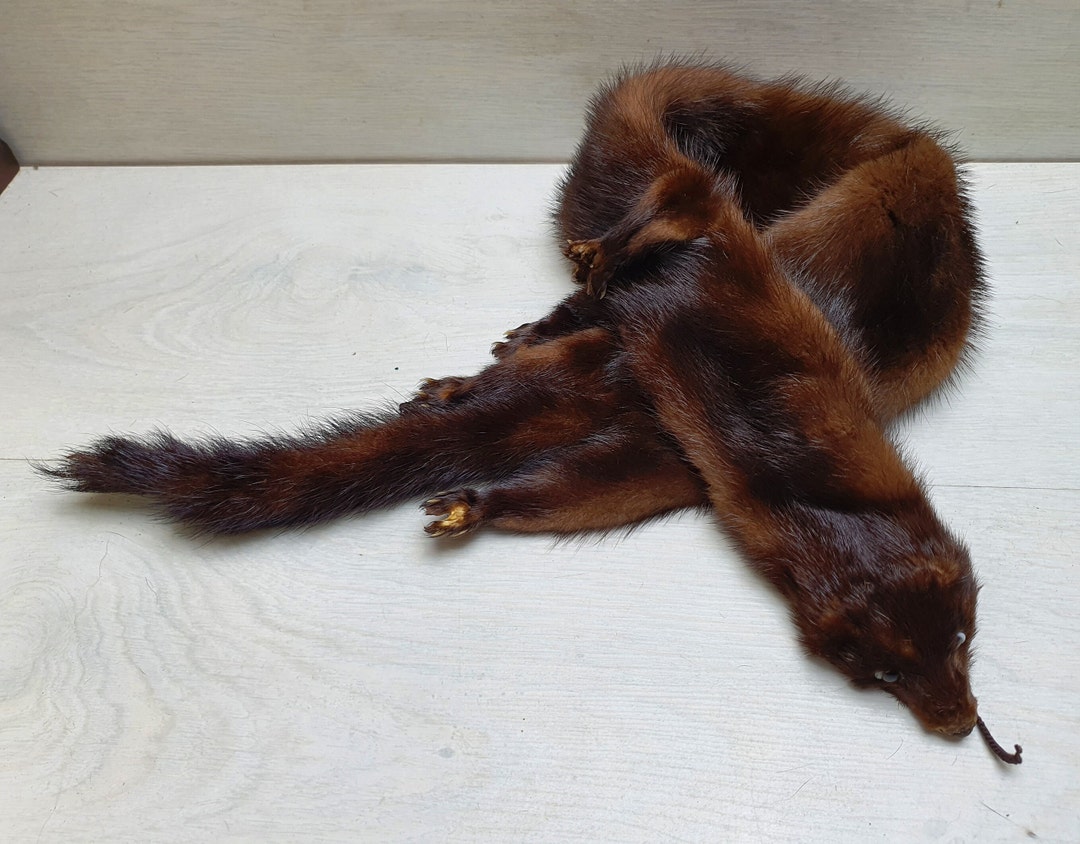 Vintage Full Size Gray Mink Fur Scarf Drape Stole Wrap Collar Shawl ...