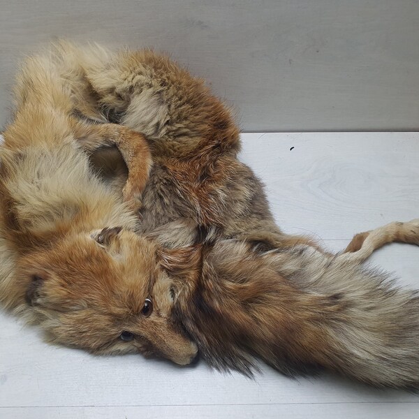 Fox Stole - Etsy