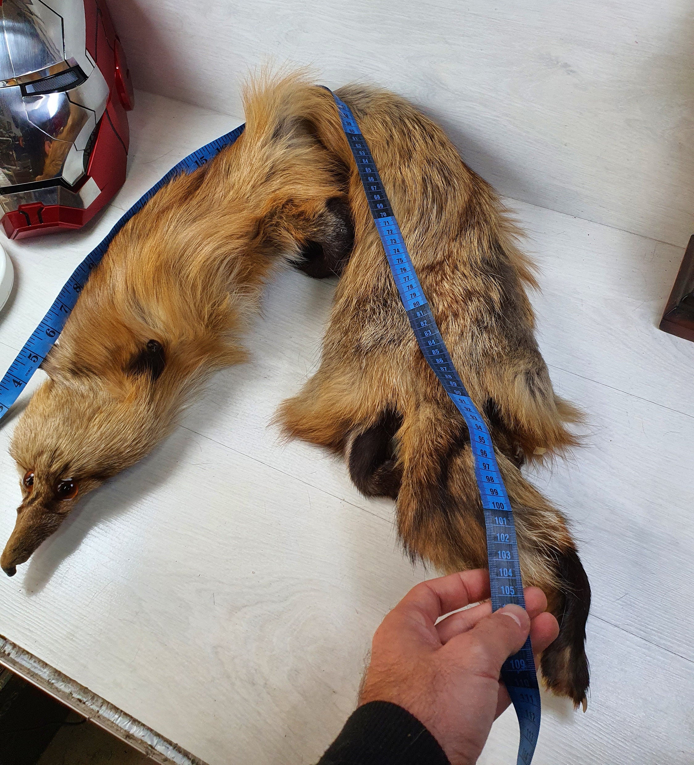 Vintage Collectible Full Size Red Fox Fur Scarf Head Tail Real Original ...