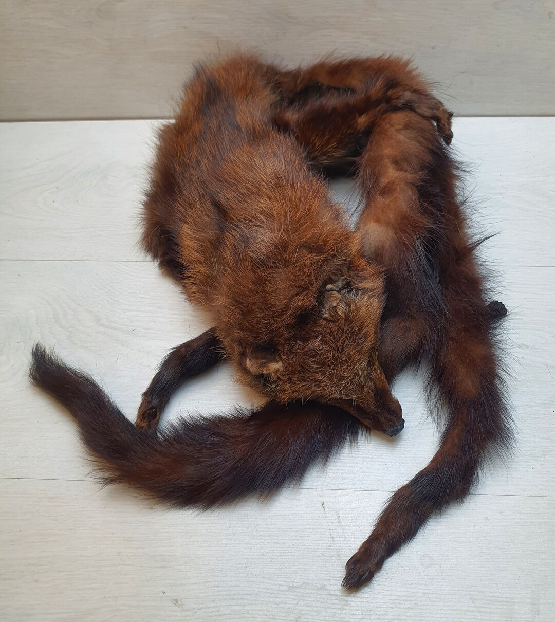 Vintage Collectible Full Size Red Fox Fur Scarf Head Tail Real Original ...