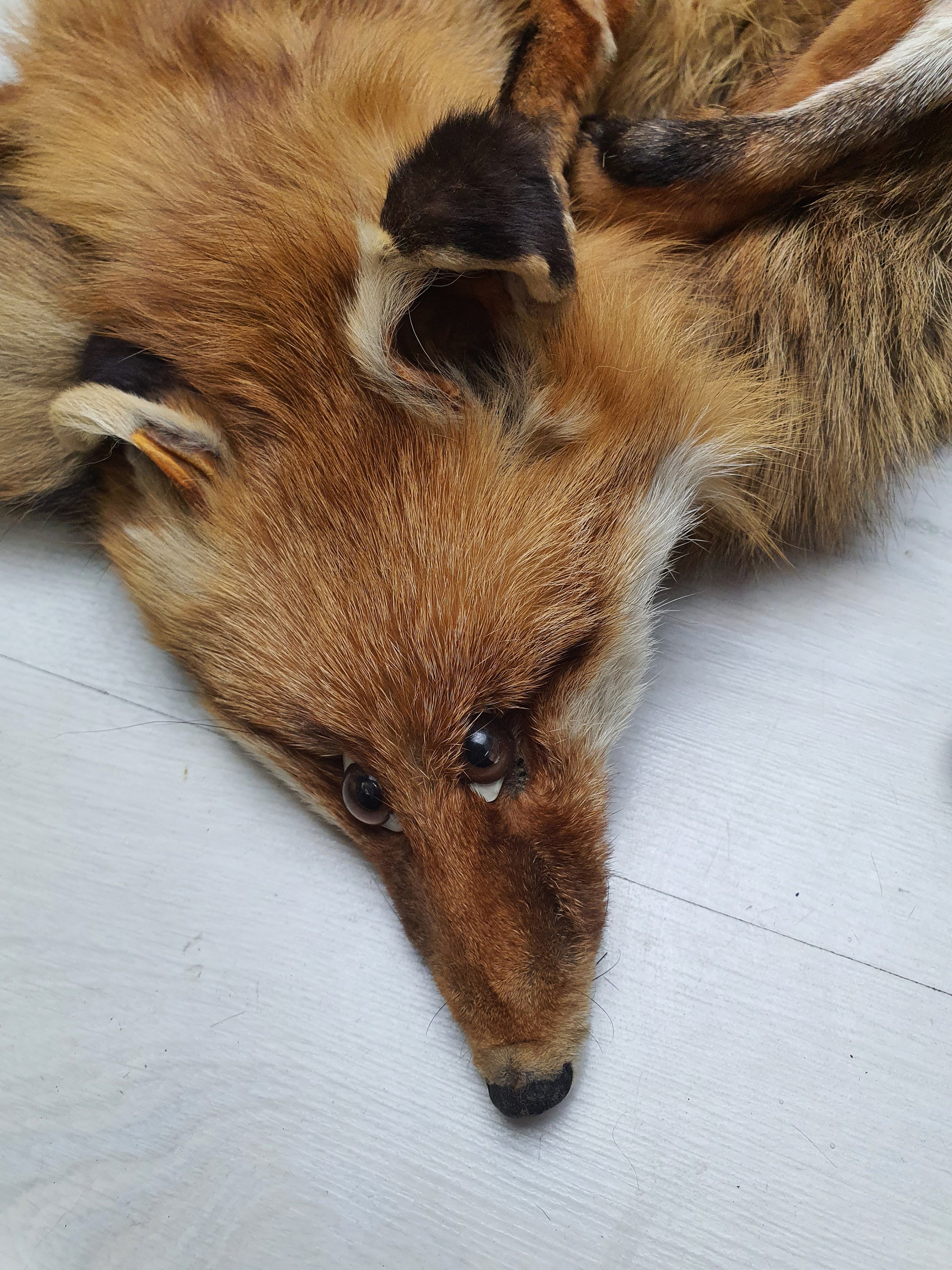 Vintage Collectible Full Size Red Fox Fur Scarf Head Tail Real Original ...