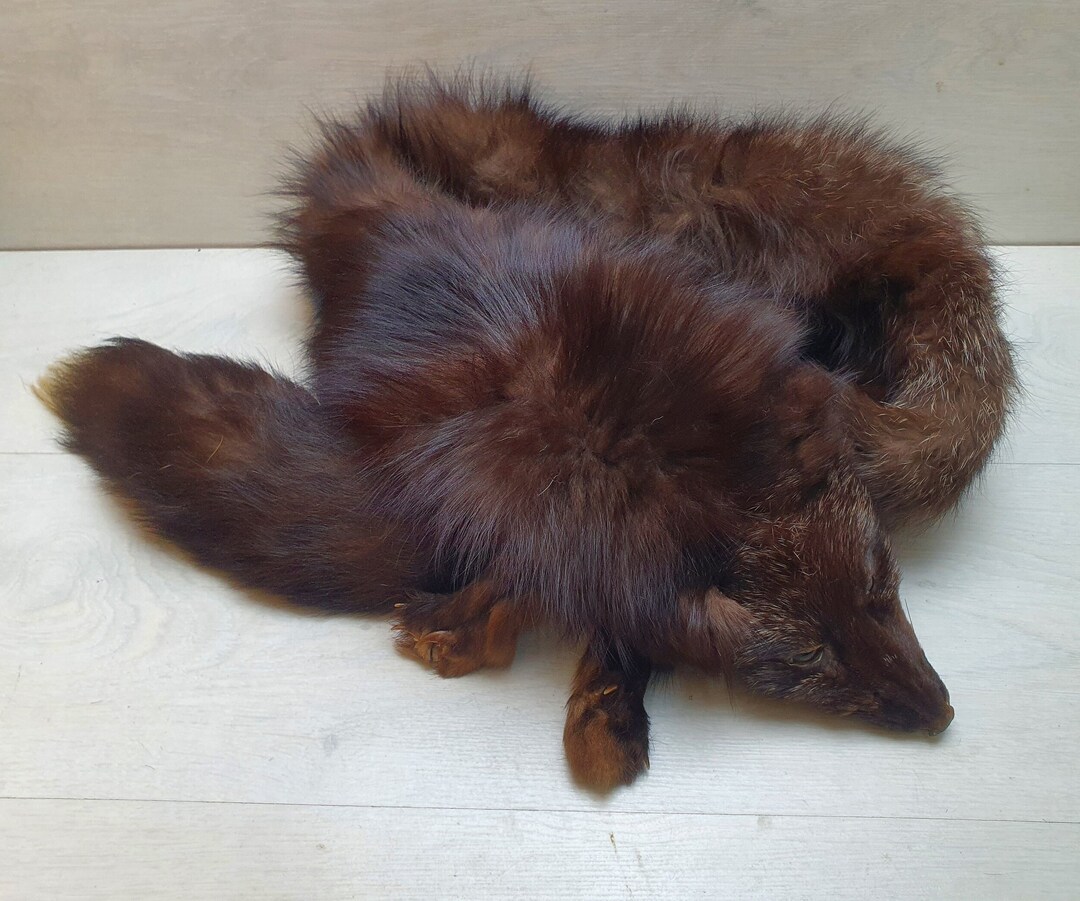 Vintage Collectible Full Size Red Fox Fur Scarf Head Tail Real Original ...