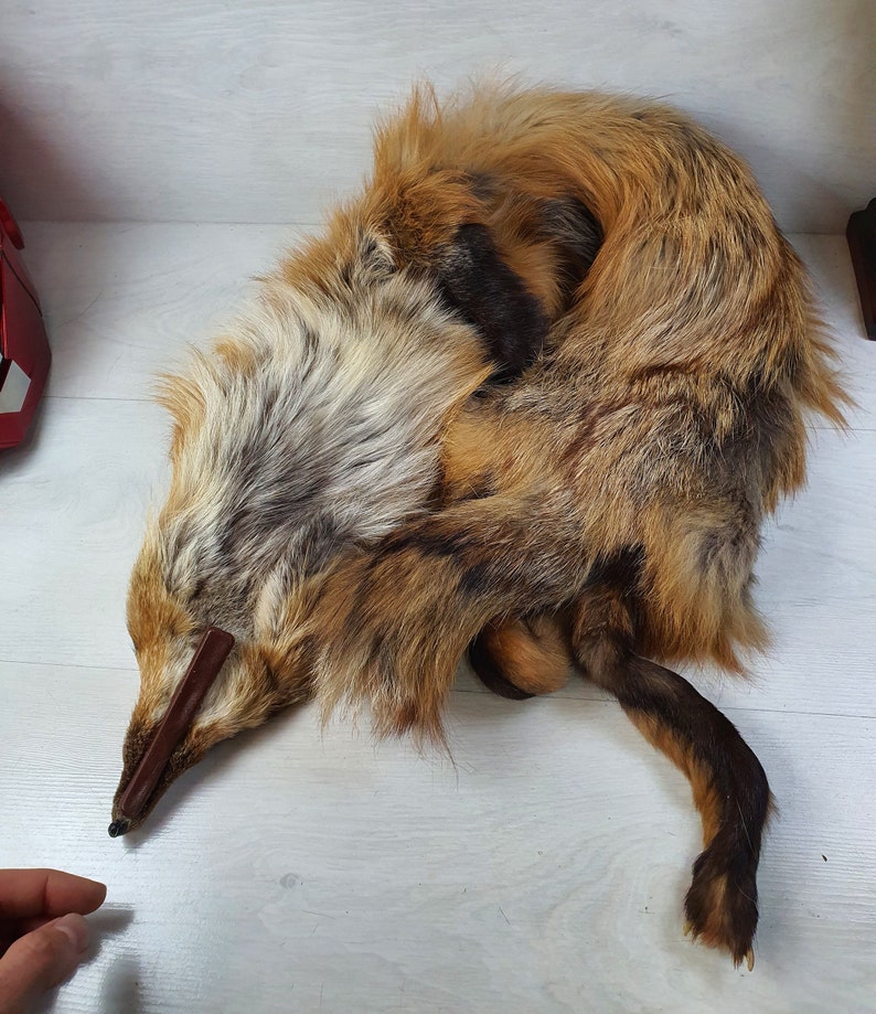 Vintage Collectible Full Size Red Fox Fur Scarf Head Tail Real Original ...