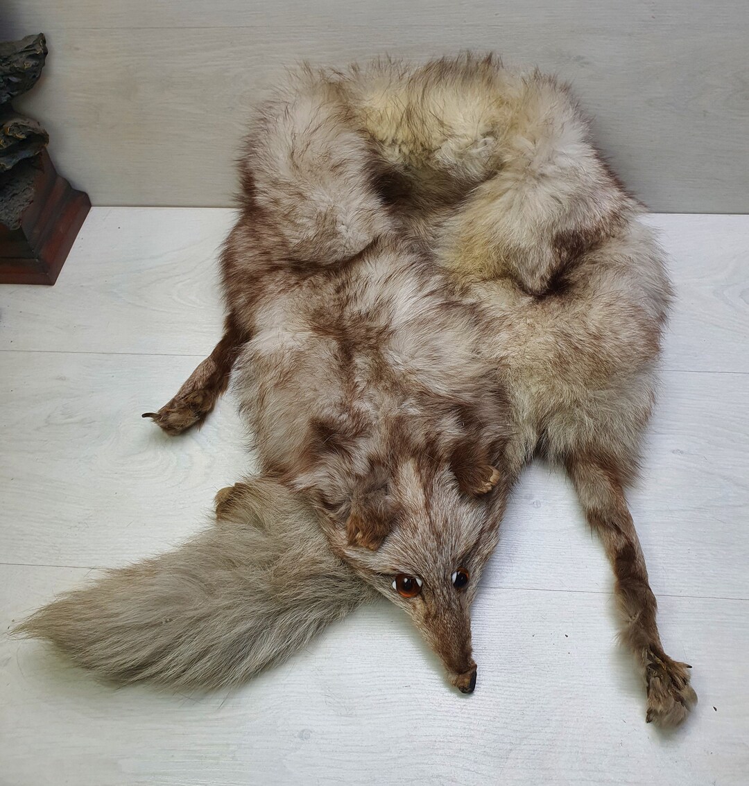 Big Vintage Collar Full Size White Fox Fur Scarf Head Tail - Etsy