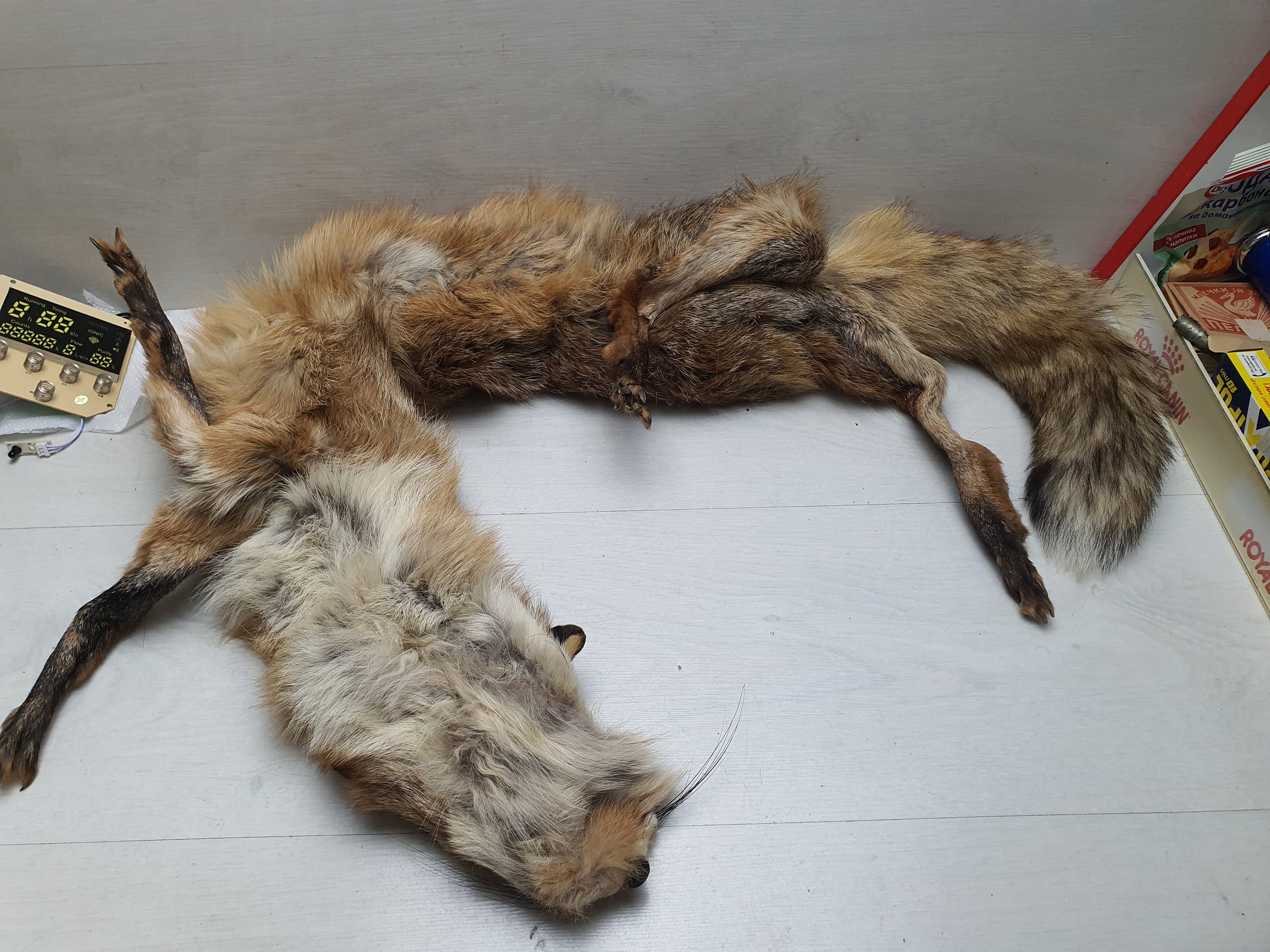 Vintage Collectible Full Size Red Fox Fur Scarf Head Tail Real Original ...